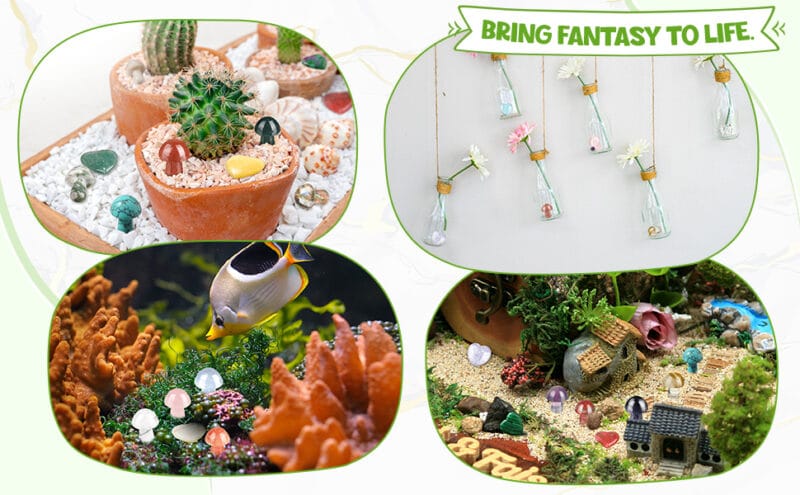 Mushroom Crystals: Everything You Need to Know