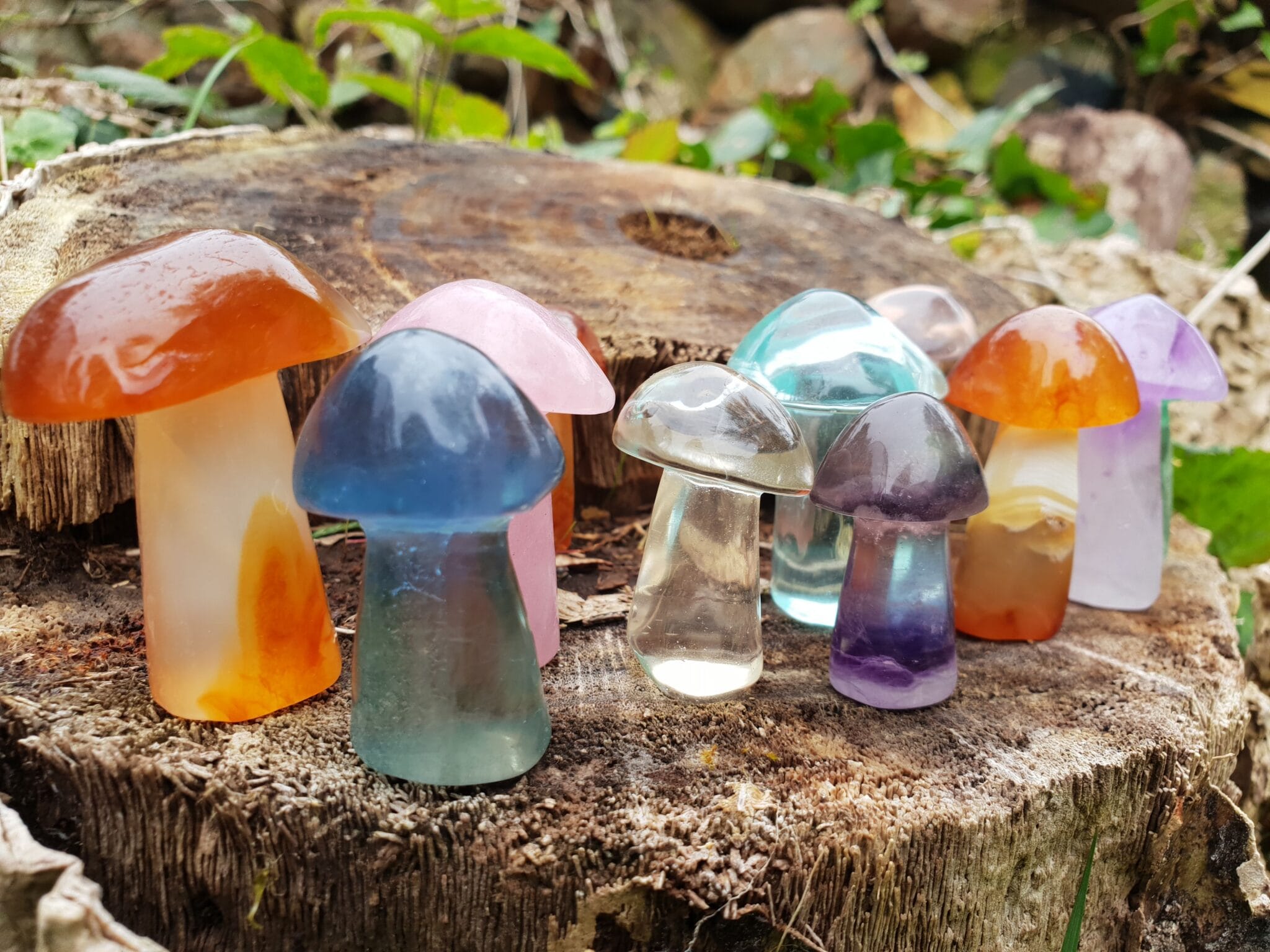 Mushroom Crystals: Everything You Need to Know